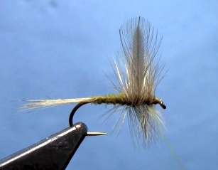 Top 3 trout flies: Start tying these now for fly fishing in spring ...